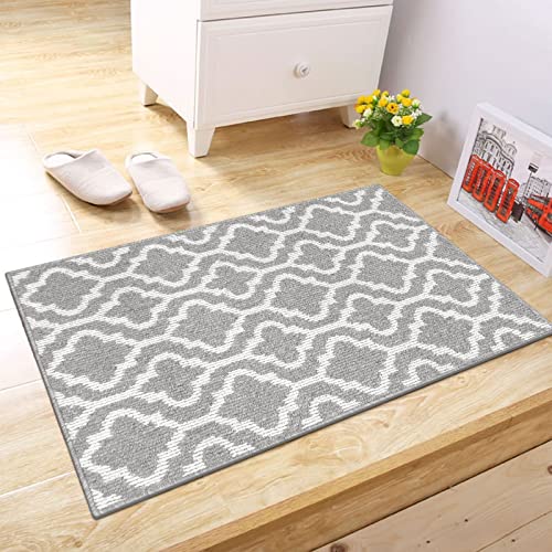 Vaukki Indoor Doormat Runner Rug, Indoor Door Mat, Washable Modern Kitchen Mat, Non Slip Entryway Rug, Entrance Mat for Hallway, Bedroom, Kitchen and Laundry Room (2'x3', Grey)