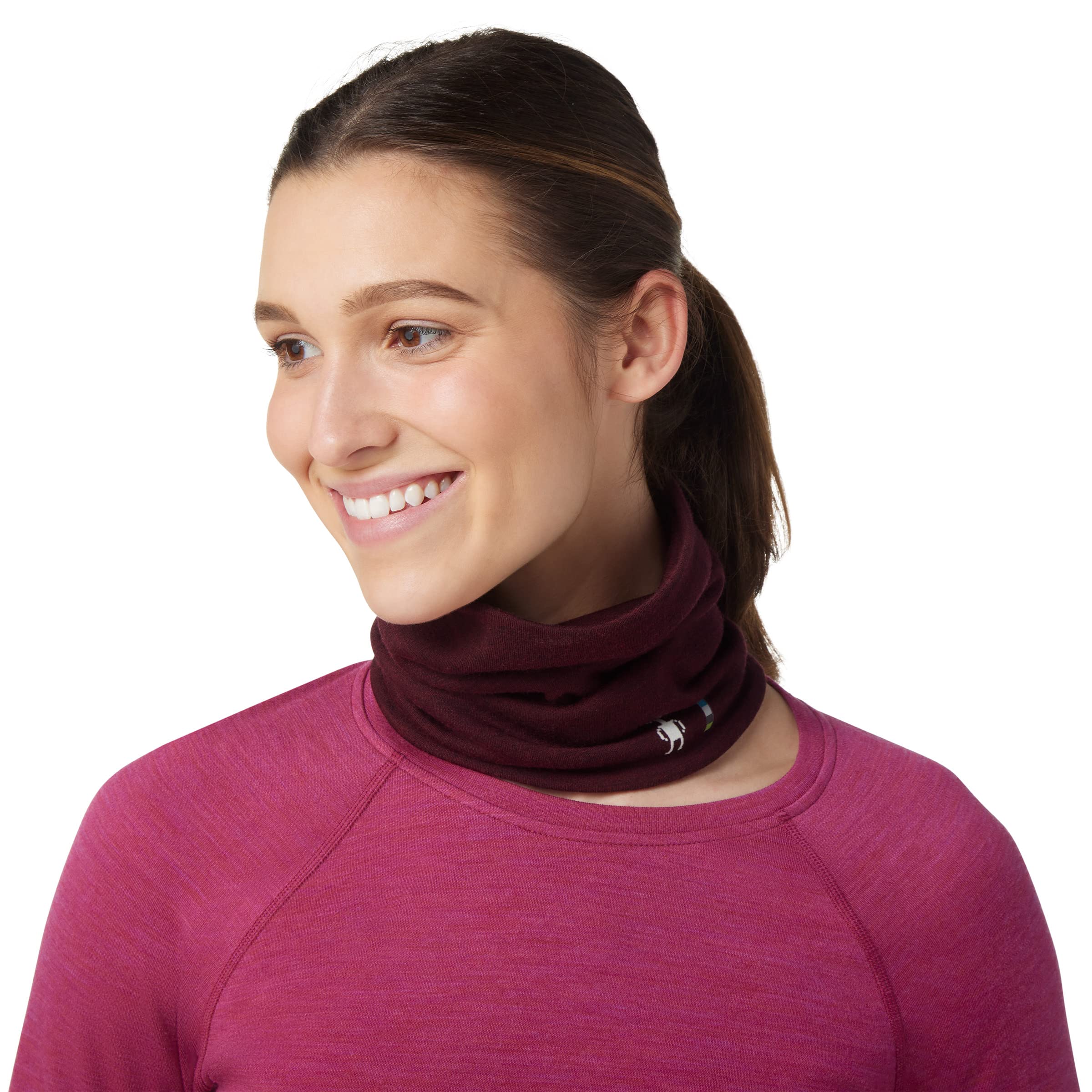 SmartWool SW0SC9530011FM Merino 250 Neck Gaiter Black 1FM