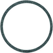 TACO GSK-D-100 Body Gasket, PRO-FIT Gasket KIT