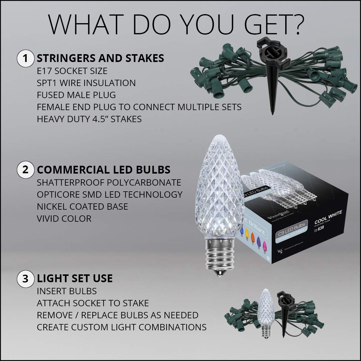 Wintergreen Lighting 25’ OptiCore LED Cool White Pathway Christmas Lights, C9 Outdoor White Christmas Lights, 4.5” Stakes, Green Wire Plug String Lights