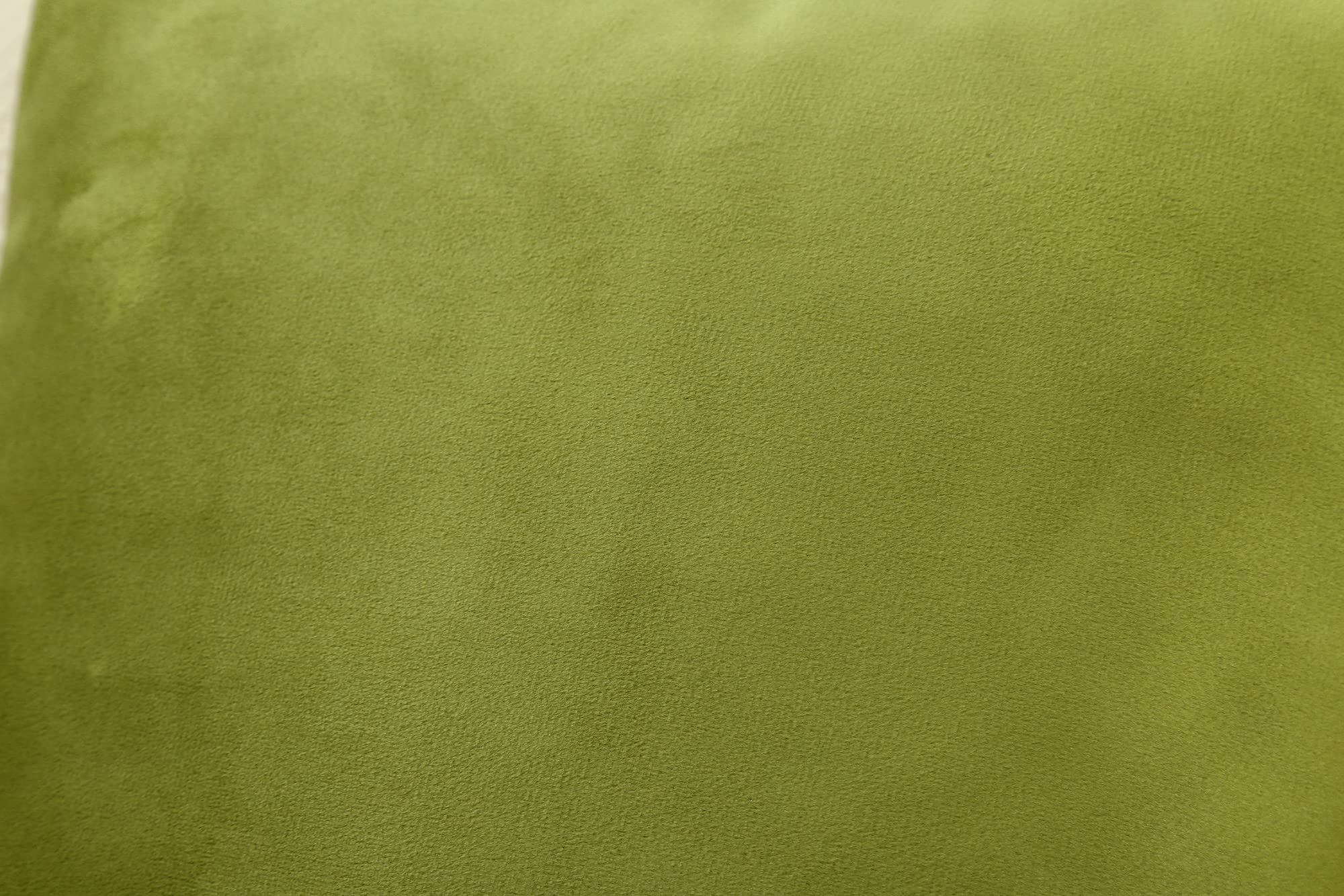 TangDepot Set of 2 Velvet Throw Pillow Covers, Super Soft, Euro Pillowcases - (24x24 Inch 2 Pieces, G01 Olive Green)