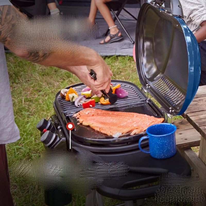 WXBDD Burner Propane Gas Portable Grill Portable Grill BBQ Grill Outdoor BBQ Grill Camping Trip Grill