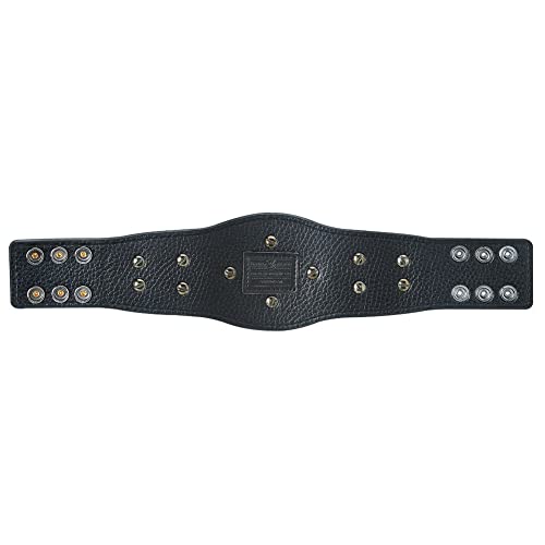 WWE Authentic Wear Attitude Era Intercontinental Championship Mini Replica Title Belt Multi