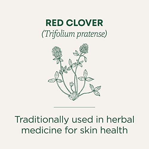 Traditional Medicinals Tea, Organic Red Clover, Supports Skin Health, 96 Tea Bags (6 Pack)
