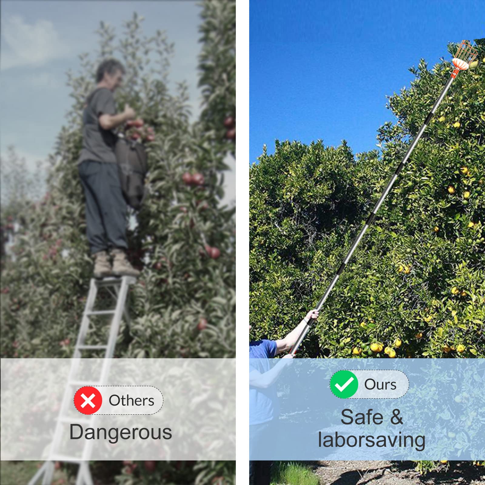Walensee 13FT Fruit Picker, Adjustable Fruits Picker Tool with Lightweight Stainless Steel Pole and Big Basket, Fruit Catcher Equipment Tree Picker for Apples Mango Pear Orange Avocados Fruit Picking