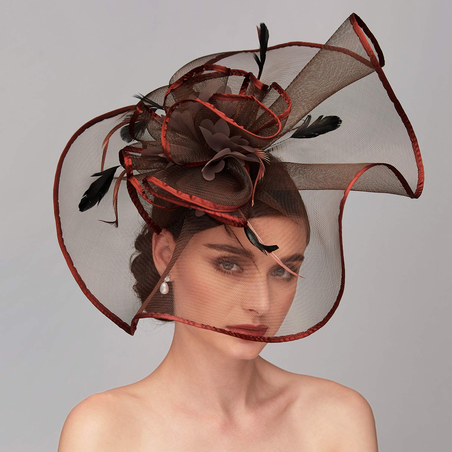 TS Fascinators Hat with Mesh Feather Hair Clip Tea Party for Wedding Cocktail Party or Special Occasion(Coffee)