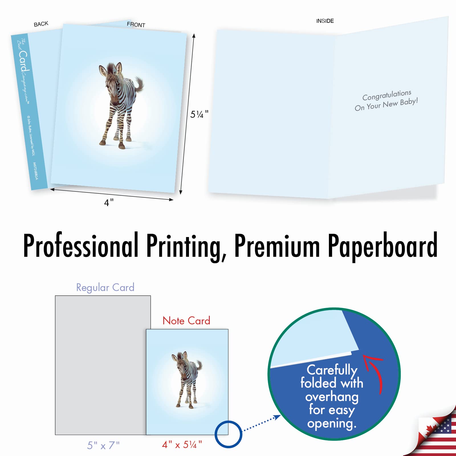 The Best Card Company 20 Assorted Baby Notecards Box Set 4 x 5.12 Inch with Envelopes (10 Designs, 2 Each) Zoo Babies AM6726BBG-B2x10