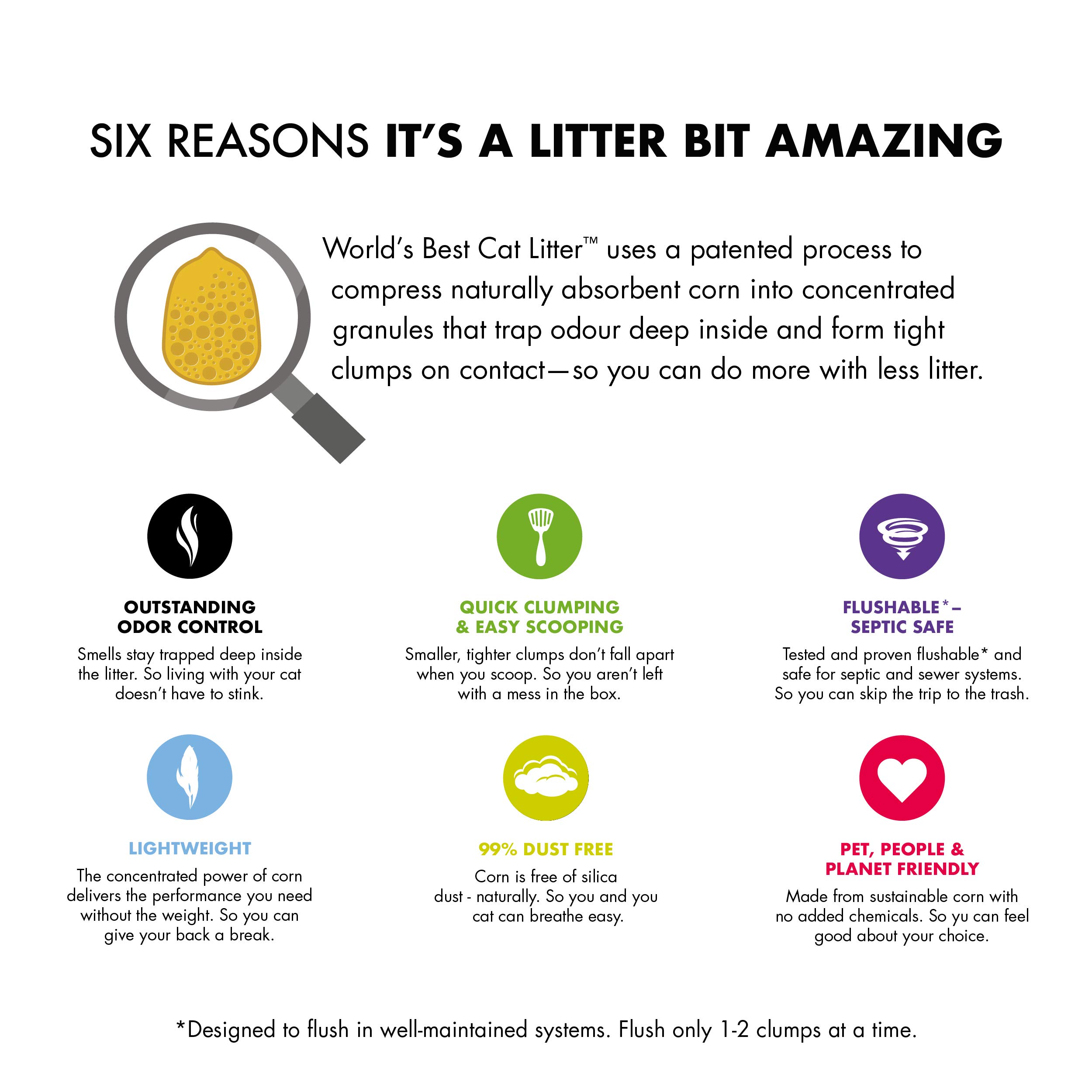World's Best Cat Litter Picky Cat, Clumping Cat Litter, Flushable with Natural Attractive Scent for All Cats, 10.89 kg