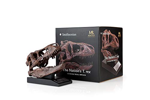 The Nation's T-Rex Skull Statue | Smithsonian Fossil Replica | 6-Inch Tall Tyrannosaurus Rex Desk Statue | 1:10 Scale