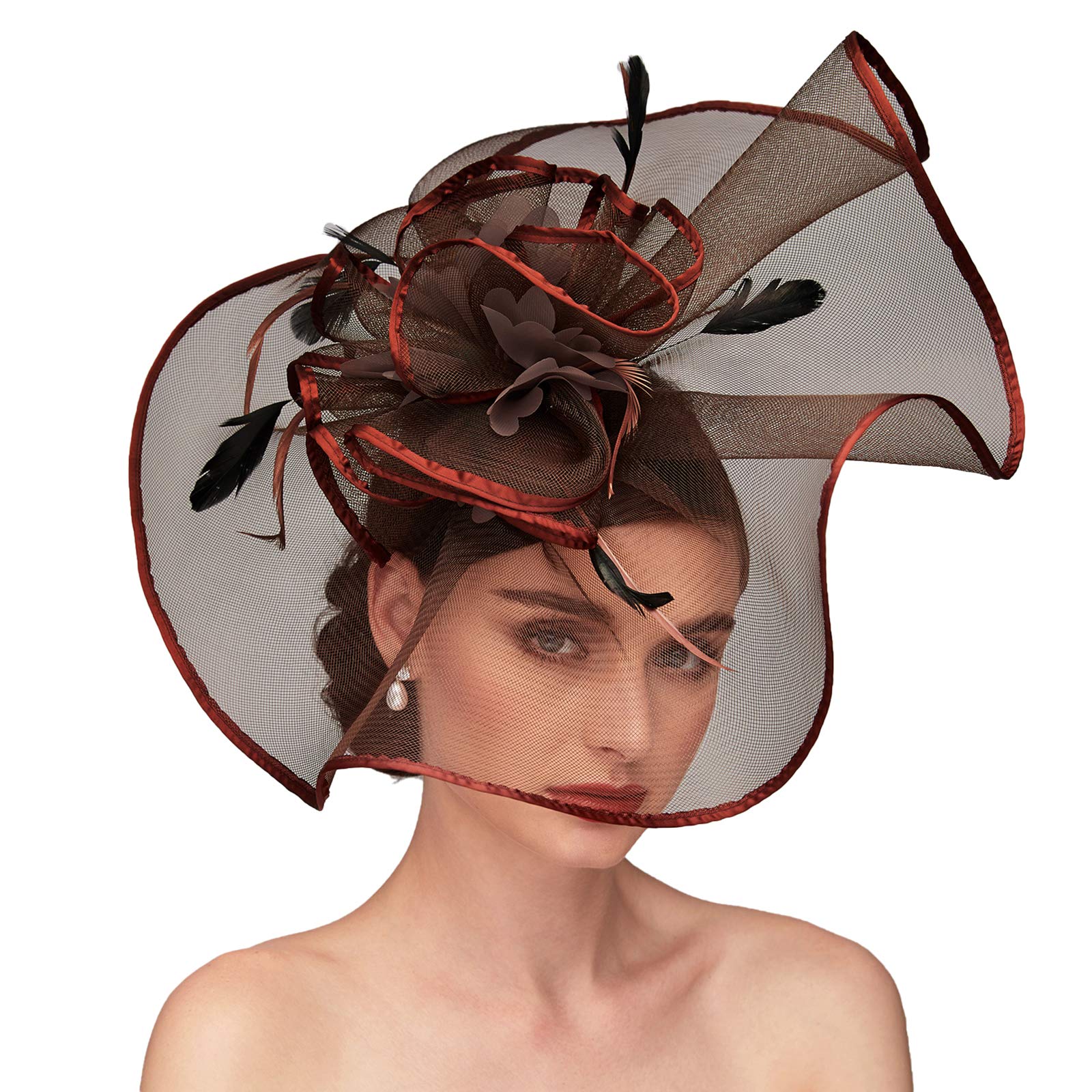 TS Fascinators Hat with Mesh Feather Hair Clip Tea Party for Wedding Cocktail Party or Special Occasion(Coffee)