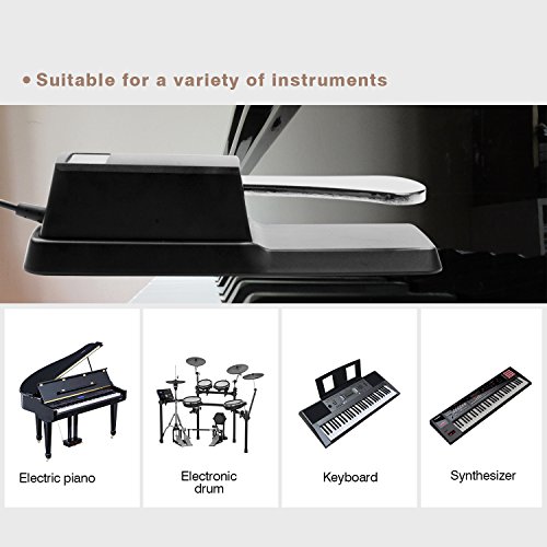 Sustain Pedal Universal Foot Damper for Digital Electronic Piano Keyboard, Flanger(Carbon Black, FTB-004)