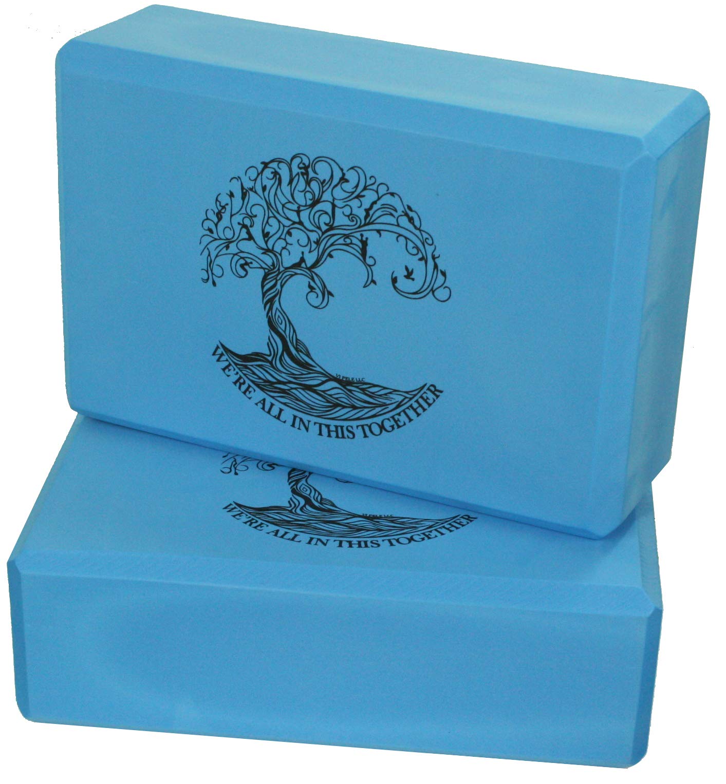 VIPELE Yoga Block (1 or 2 PC) - High Density EVA Foam Block. Support and Deepen Poses, Improve Strength and Aid Balance and Flexibility - Lightweight, Odor and Moisture Resistant (2 Blue Blocks)