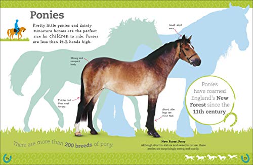 The Everything Book of Horses and Ponies (Everything About Pets)