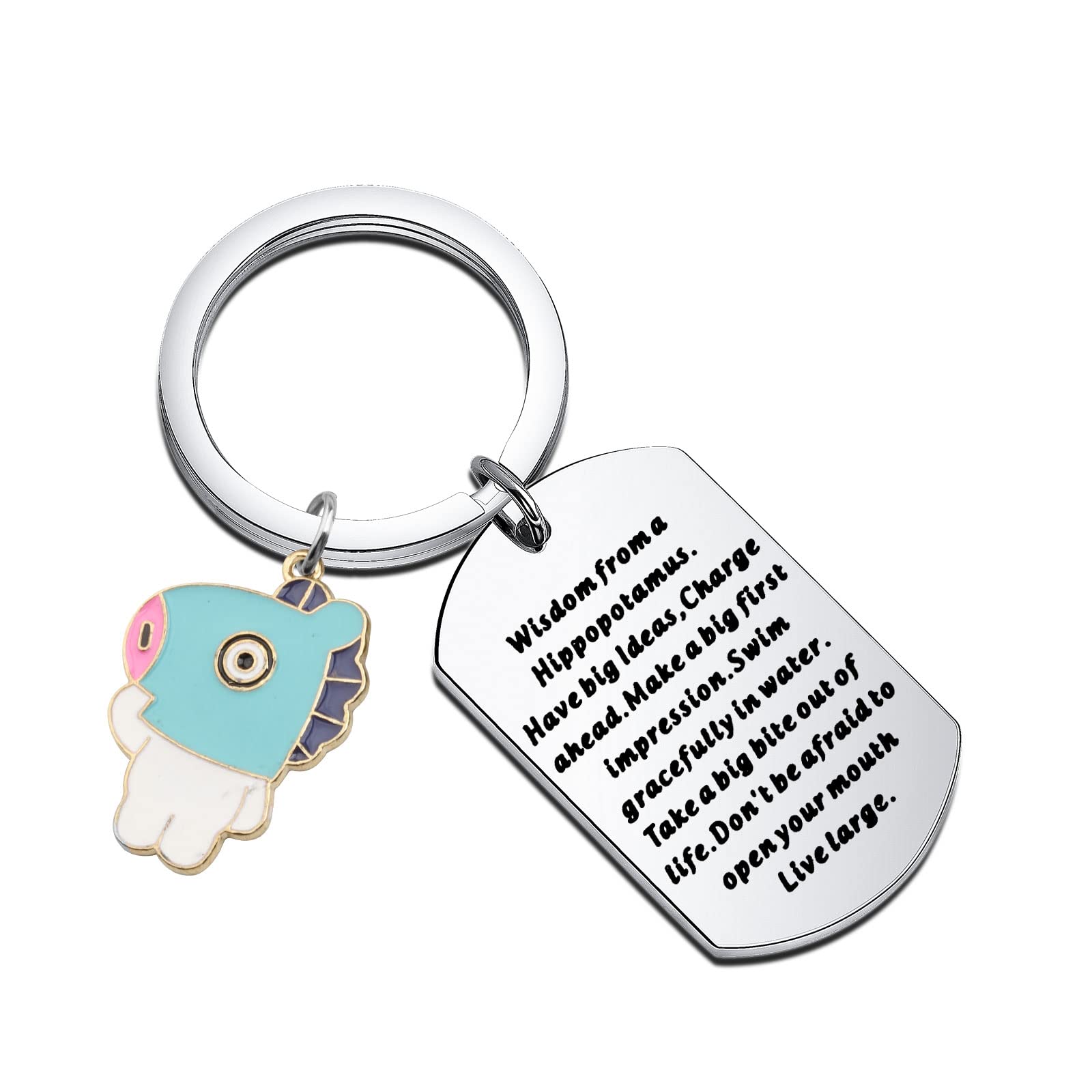 WSNANG Hippo Theme Gift Wisdom From A Hippopotamus Keychain Hippo Lover Gift Hippo Jewelry Gift (Wisdom Hippo KC)