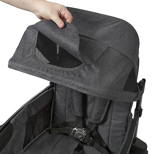 Radio Flyer Voya Stroller Wagon, 2 Seater Wagon Stroller for Kids with Low Sides, Baby Stroller Wagon, Double Stroller