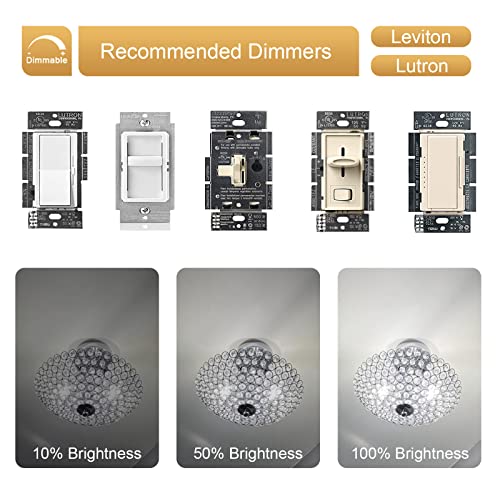 Tubular LED Edison Bulb 5000K Daylight White, 25W Equivalent 200 Lumens, 2W Dimmable T45(T14) LED Filament Light Bulbs, Clear Glass, 6 Pack