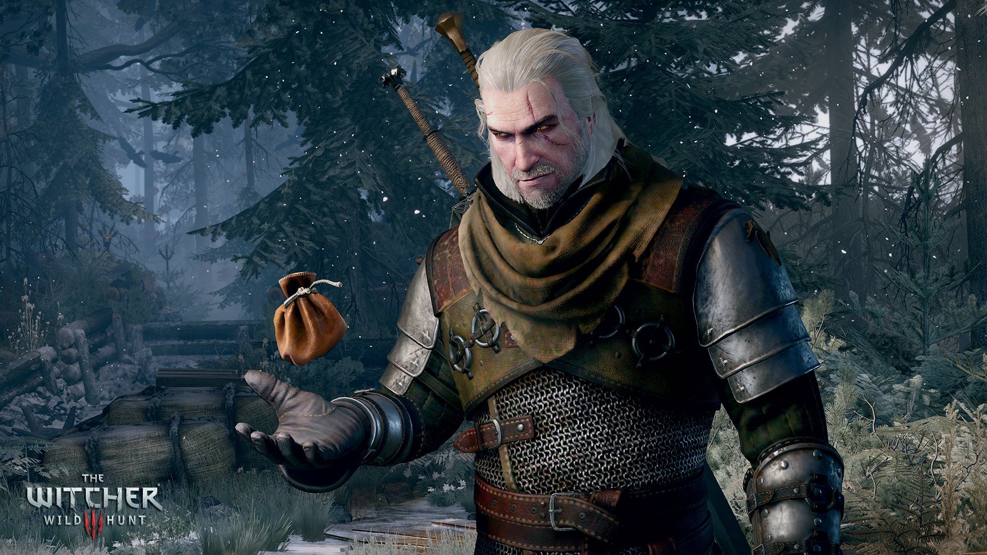 The Witcher 3 (Xbox One)