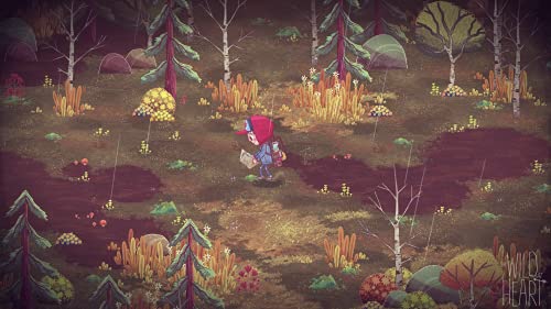 The Wild at Heart (Nintendo Switch)