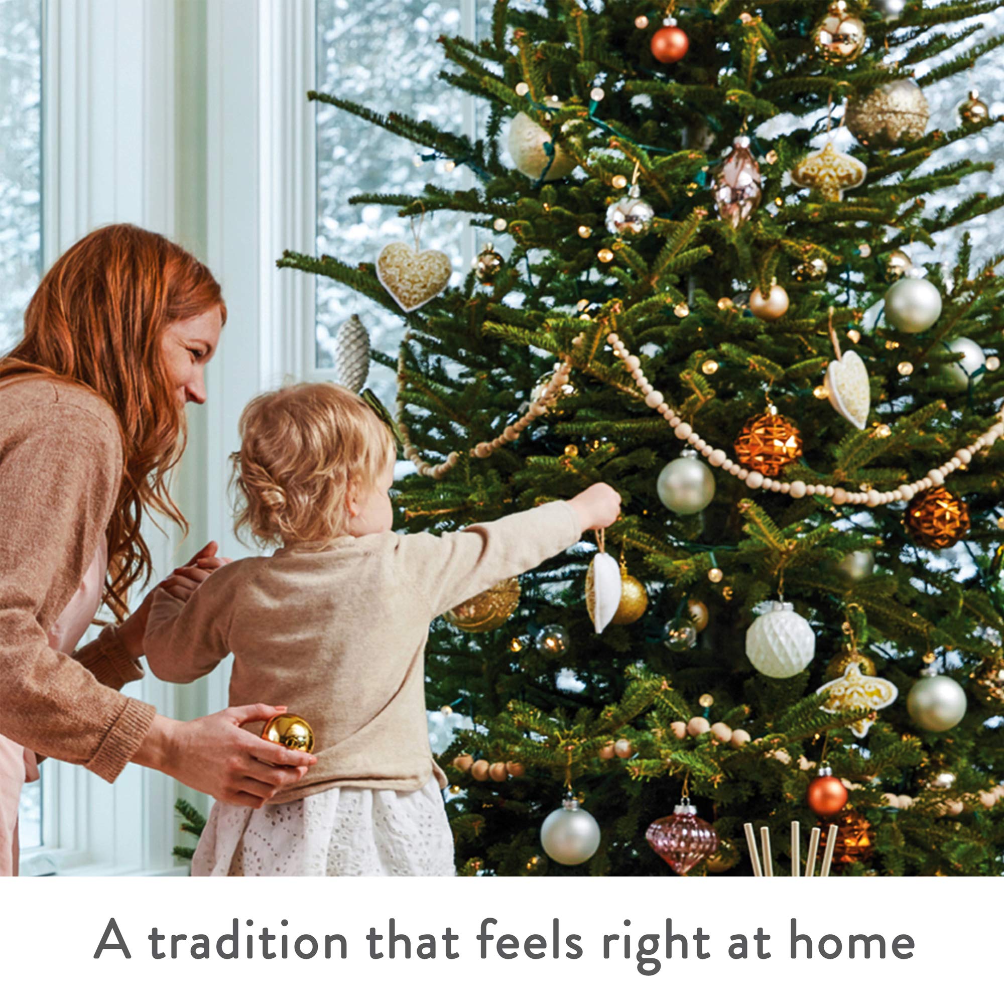 Thymes Frasier Fir All-Purpose Cleaner - Biodegradable Cleaner with Natural Essential Oils - Household Spray for Cleaning Bathrooms, Kitchens, Counters, and Other Surfaces (16 fl oz)