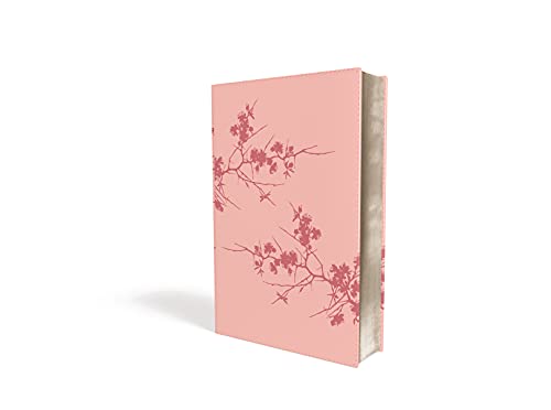 Santa Biblia de estudio Serie 50 RVR 1960 (Spanish Edition)