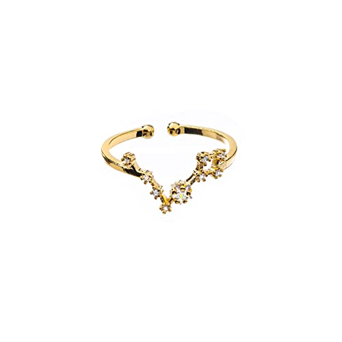 Zodiac Constellation Ring with Zircon Adjustable Horoscope Jewelry Astrological Sign 14K Gold Plated Ring Birthday Gift For Women Girls Pisces Gold