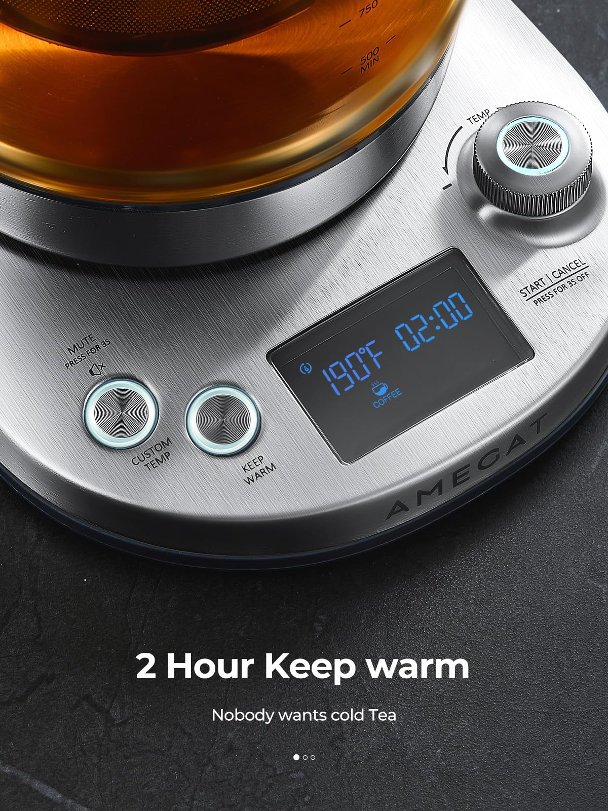 Tea Kettle Electric, AMEGAT Tea Pot with Removable Infuser, 9 Preset Brewing Programs Tea Maker with Temperature Control, 2 Hours Keep Warm, 1.7L Electric Kettles, 1200W, Glass and Stainless Steel