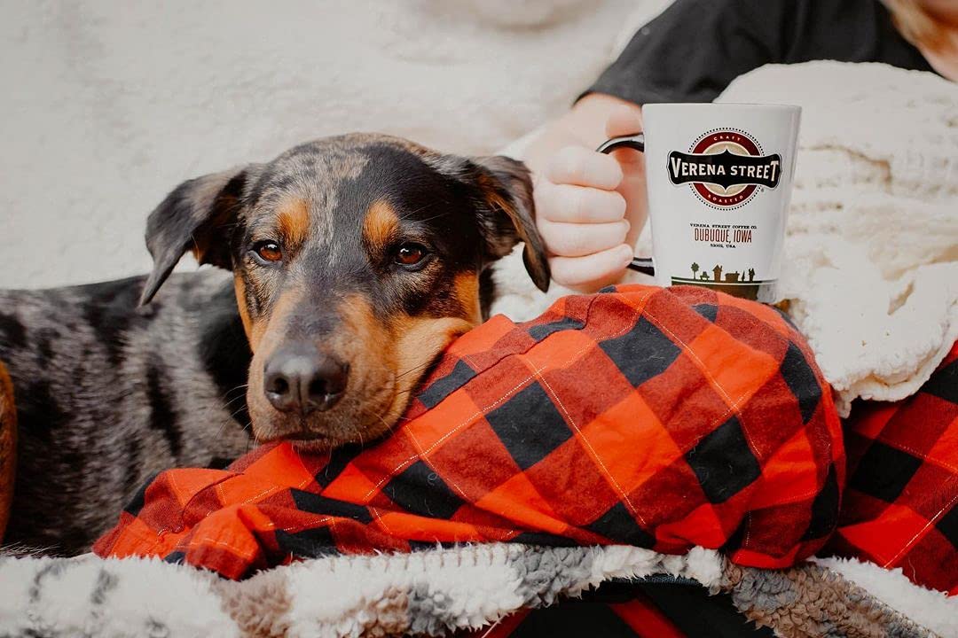 Verena Street 2 Pound Whole Bean, Swiss Water Process Decaf Beans, Sunday Drive Decaffeinated, Medium Roast Rainforest Alliance Certified Arabica Coffee