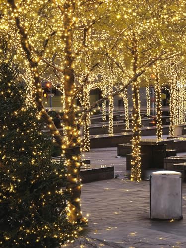Twinkle Star 300 LED Christmas Mini String Lights, 99 ft Fairy Lights with Safe Adapter for Indoor Outdoor Home Garden Xmas Tree Party Decoration, Warm White