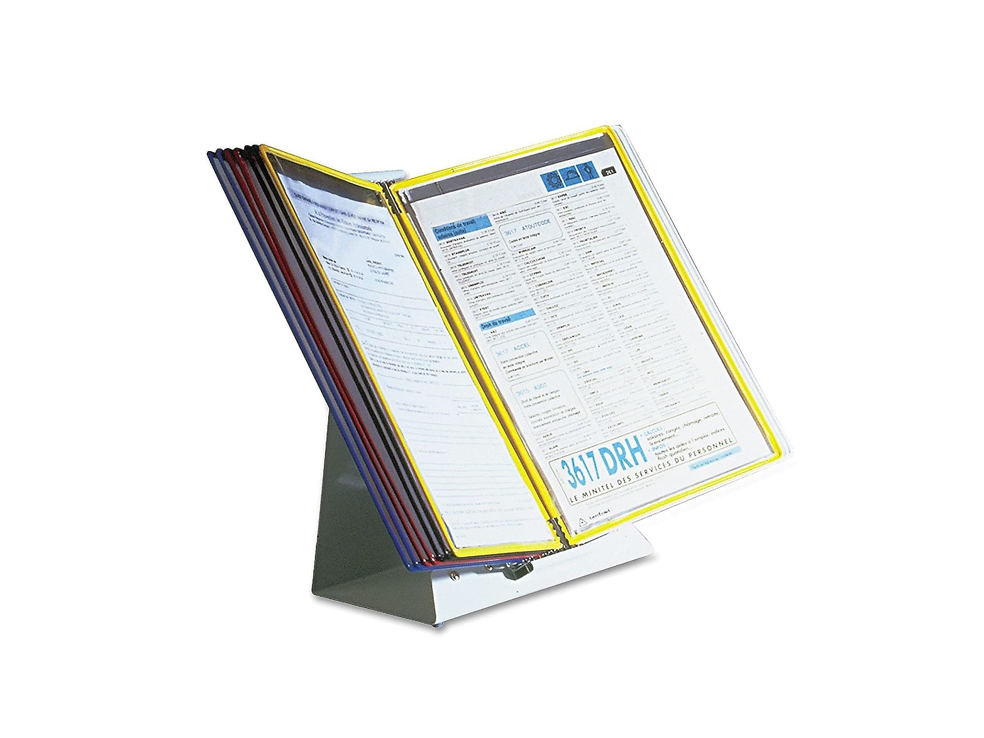 Tarifold, Inc. D291 Desktop Reference Starter Set, 10 Pockets, 5 Tabs