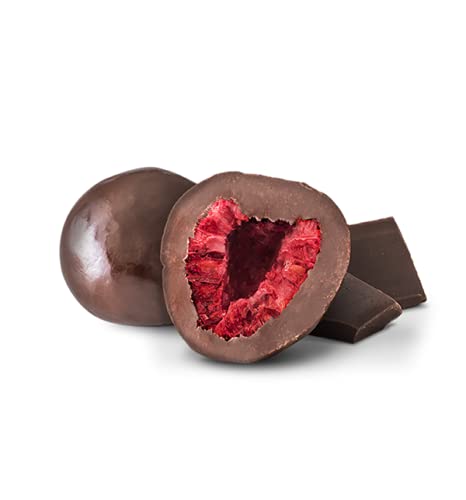Tru Fru Nature's Raspberries Hyper-Dried Fresh in Dark Chocolate, 4.2 Ounce Bag