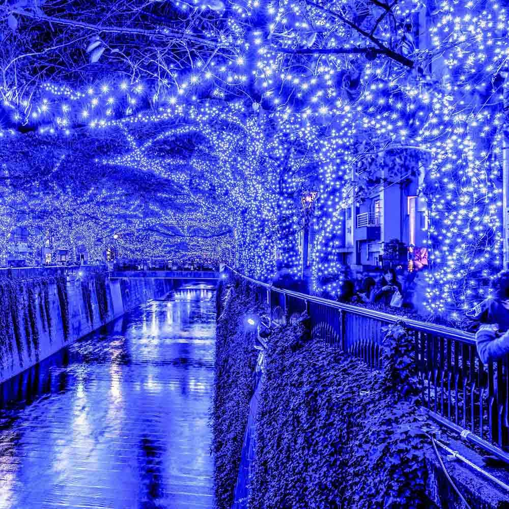 Solar String Lights 105ft 300 LED 8 Modes Solar Powered Led String Lights Waterproof Decorative String Lights for Patio, Garden, Home, Wedding, Party, Xmas(Blue)
