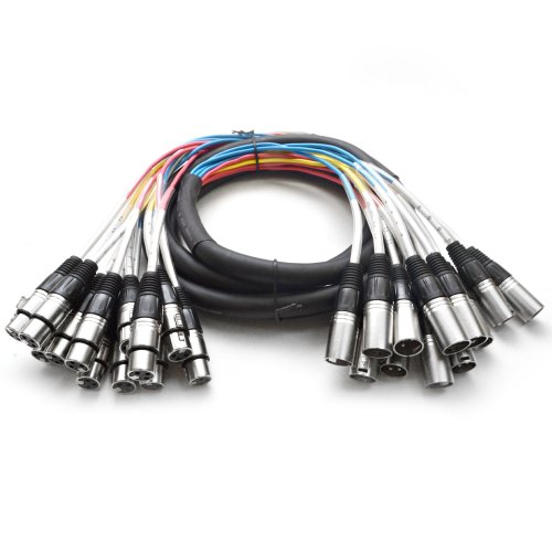 Seismic Audio - 12 Channel XLR Snake Cable - 10 Feet Long - Pro Audio Snake for Live Live, Recording, Studios, and Gigs - Patch, Amp, Mixer, Audio Interface 5'