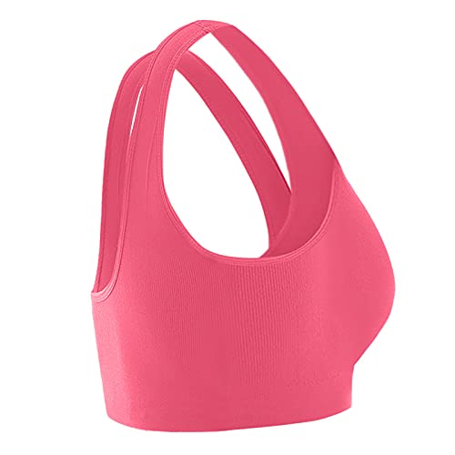 Womens Plus Size Seamless Padded Sports Bra Full-Coverage Bra Pullover Wirefree Running Yoga Tank Bra Pack of 3, Multicolor, 3X-Large