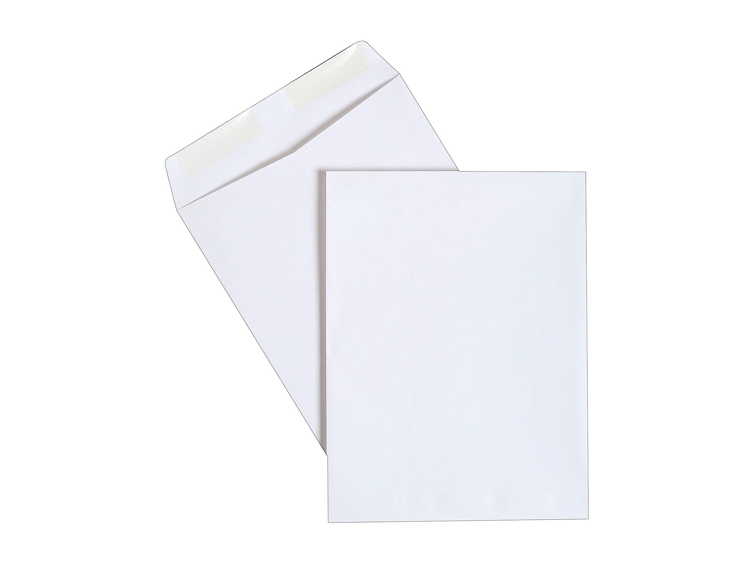 Staples 486949 Gummed Catalog Envelopes 9-Inch L X 12-Inch H White 250/Box (486949R)