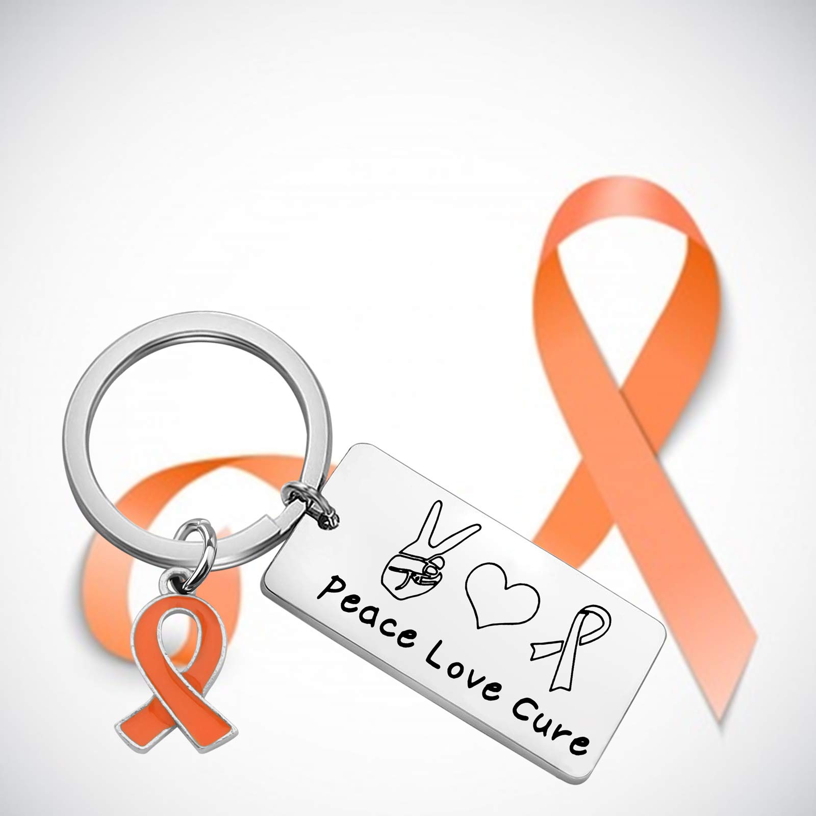 WSNANG Orange Ribbon Multiple Sclerosis Awareness Jewelry Peace Love Cure Leukemia Awareness Keychain Leukemia Warrior Gift (Orange Cure KC)