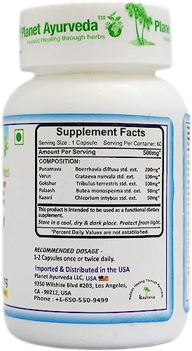 SIDHA Rencure Formula - Ayurvedic Medicine for Kidney Failure -60 Capsules
