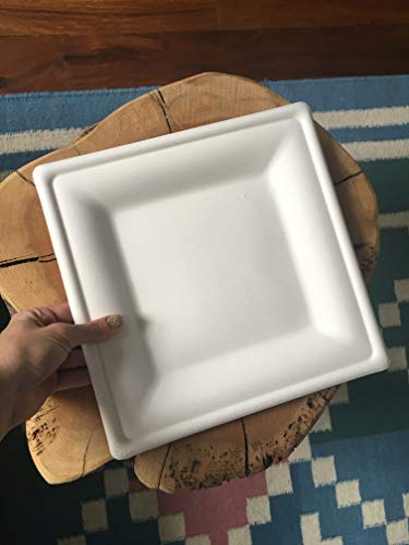 Susty Party 10-Inch Compostable Square Plates (50-Count), Sugarcane Heavy Duty Disposable Biodegradable Plate for Dinner, White