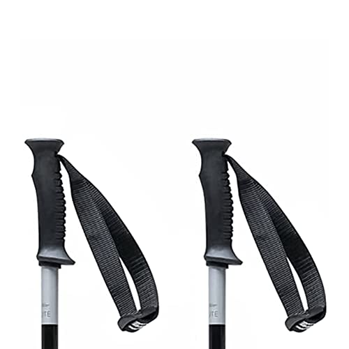 Swix Winter Sports Recreation Competition Downhill Alpine Skiing Groomed Trail Techlite Ms Aluminum Poles