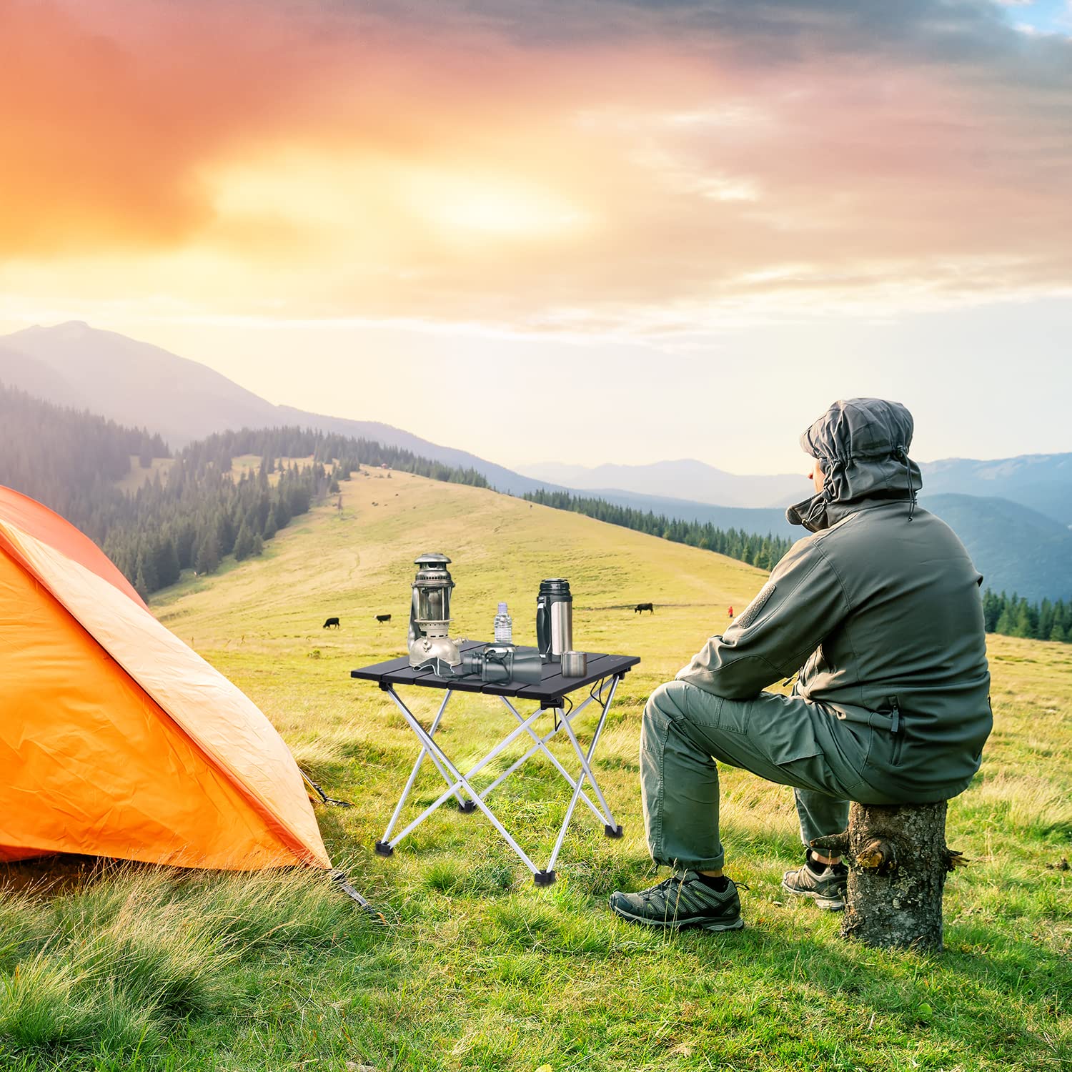 Sportneer Portable Camping Table, Folding Camp Tables Lightweight Aluminum Table Top with Mesh Bag Camping Size Table Perfect for Camping Cooking Tailgating BBQ Hiking Fishing Picnic Beaching, S
