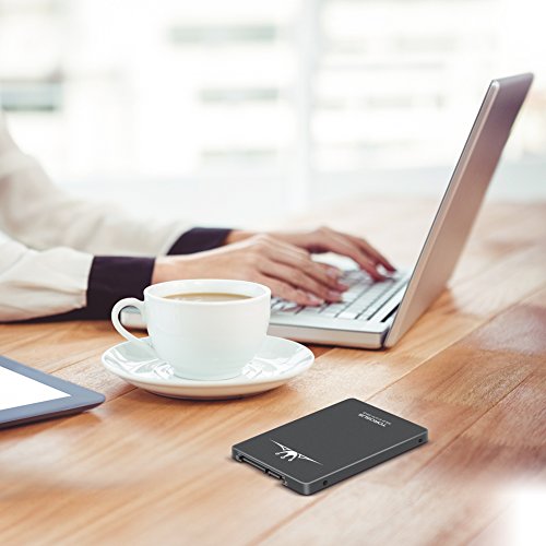 TOROSUS 256GB Industrial SSD Enterprise Class Solid State Drive for ipc Embedded Computer