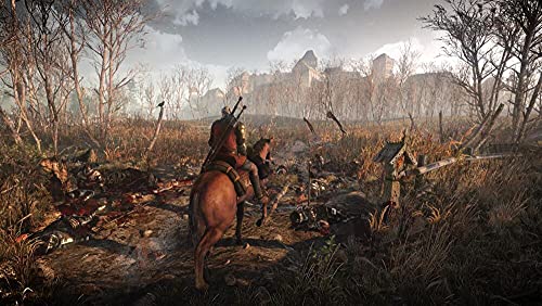 The Witcher 3: Wild Hunt - PlayStation 4 [video game]