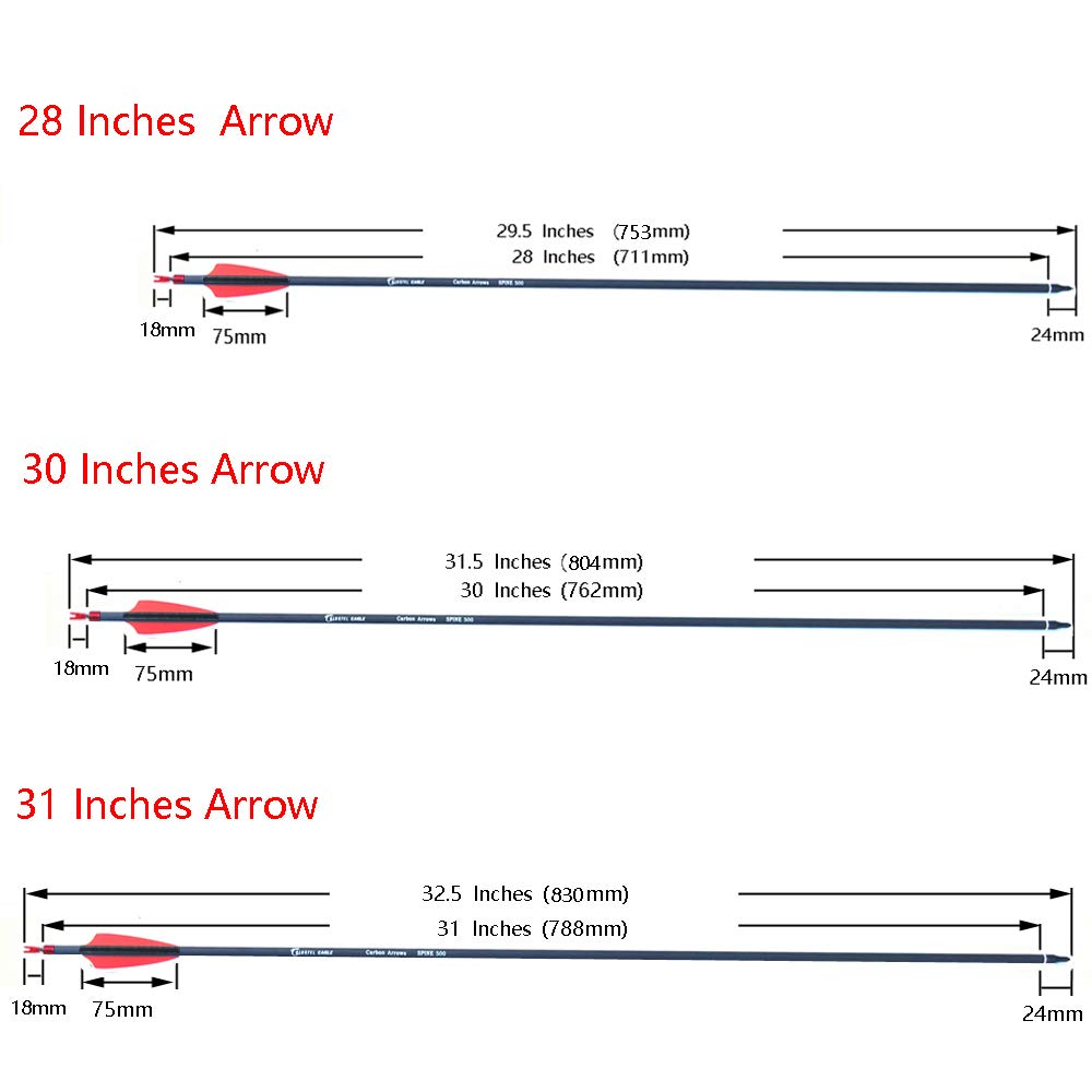 COLORFUL EAGLE 12pcs/lot Carbon Arrow Outdoor Hunting Bows Arrows for Recurve Compound Bow Archery Hunting Target Parctice Accessories (30)