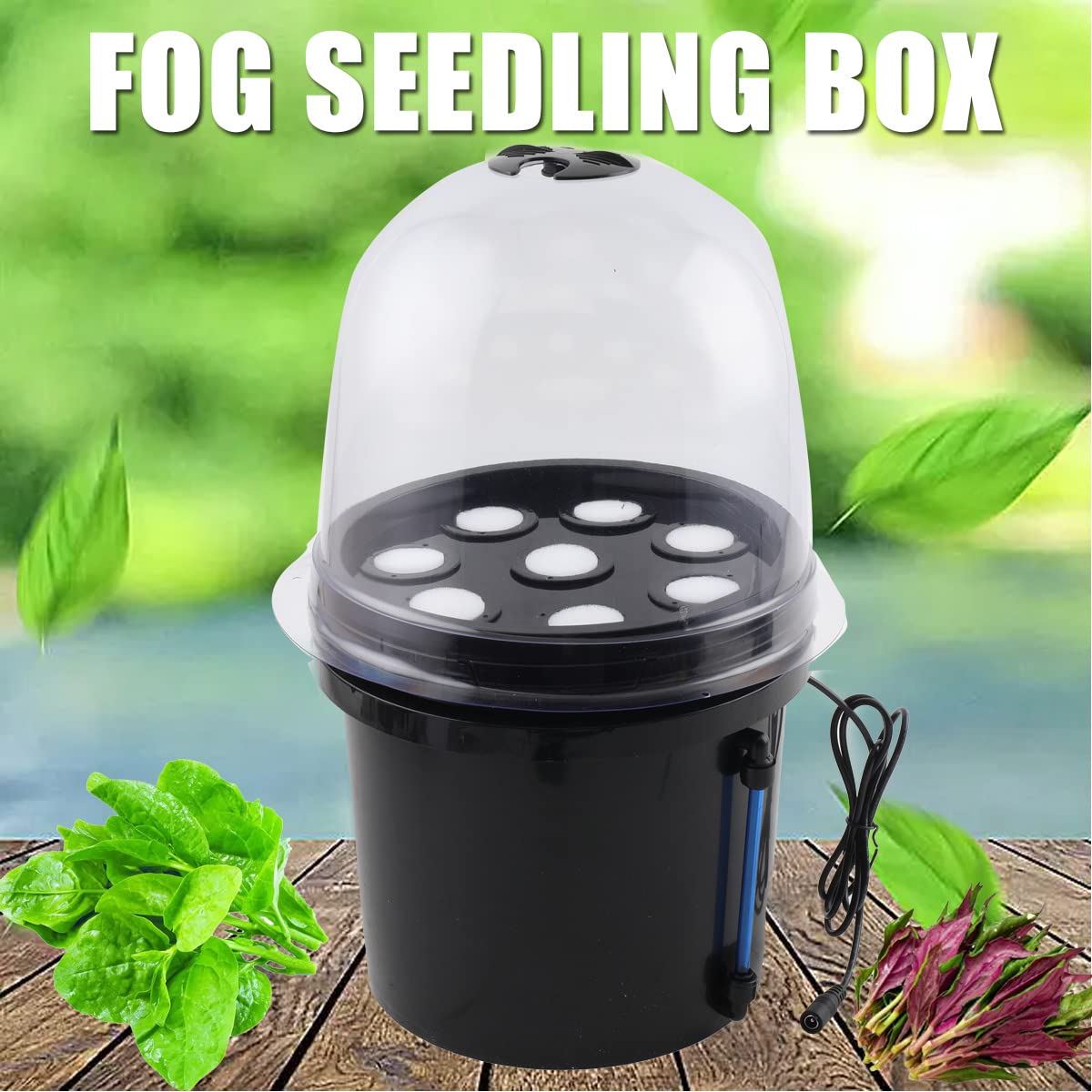 WEBTB Top Feed Drip Hydroponics Systems Recirculating Deep Water Culture Hydroponic Bucket System 8L Hydroponic Growing Kit with 5 Holes Soilless Cultivation Grow Box Garden Cabinet Box