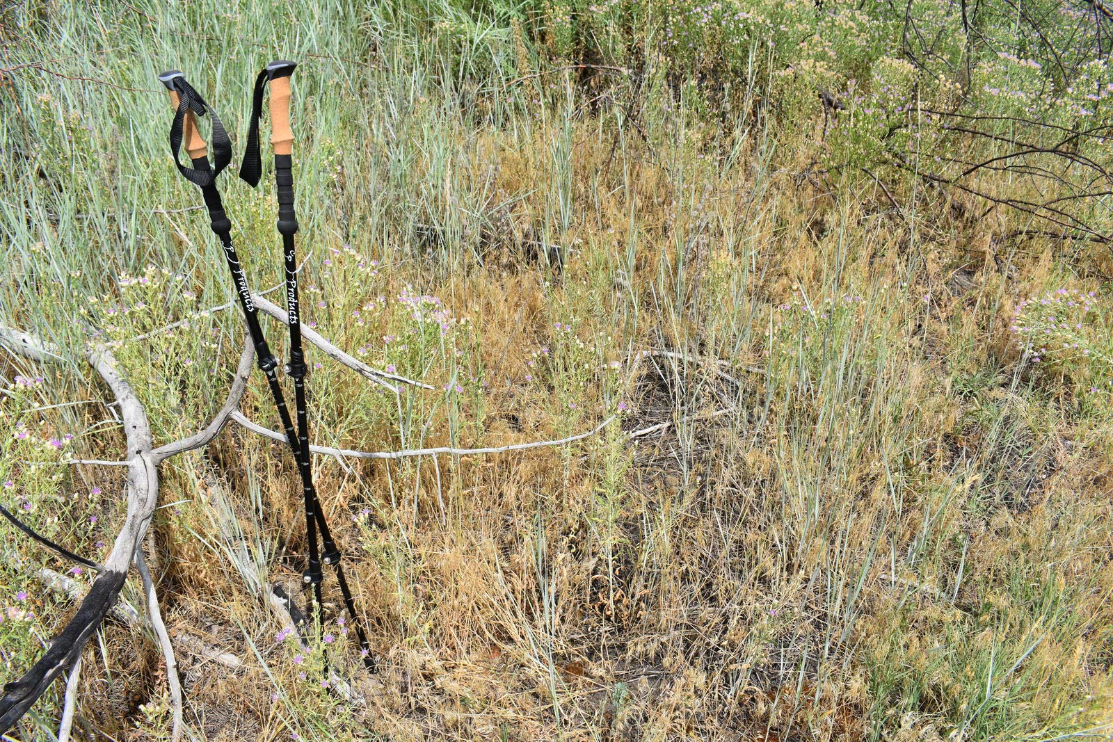 Trekking Poles, Aluminum/Carbon Fiber Trekking Poles