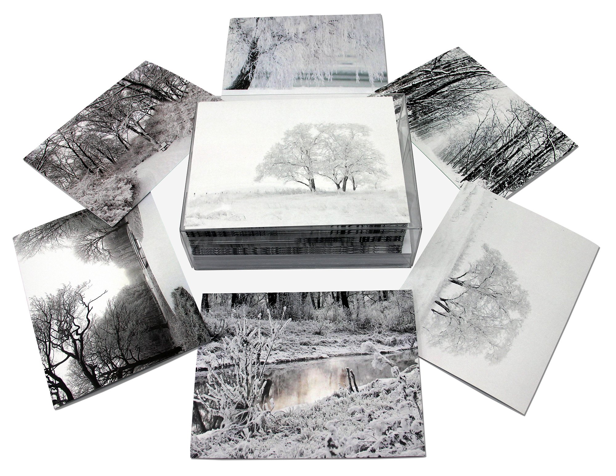 Winter Scenes Blank Note Cards - Greeting Cards with Envelopes - 6 Unique Designs - 5.5"x4.25" (12 Pack)