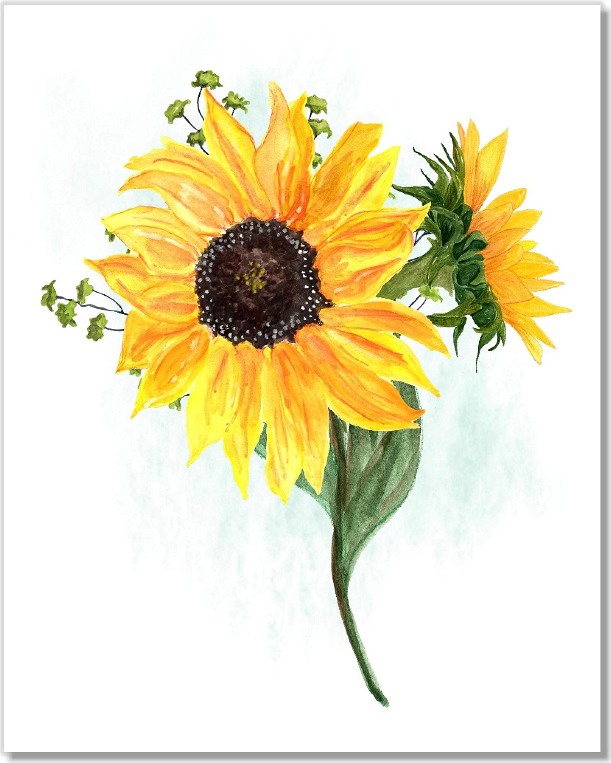 Sunflower Wall Art - Botanical Prints Wall Decor - Watercolor - Set of 3-8x10 - Unframed