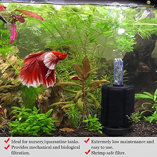 SunGrow 10-Gallon Betta Sponge Filter, Slow Current Fish Tank Filter, Perfect for Fry & Small Fish Aquarium