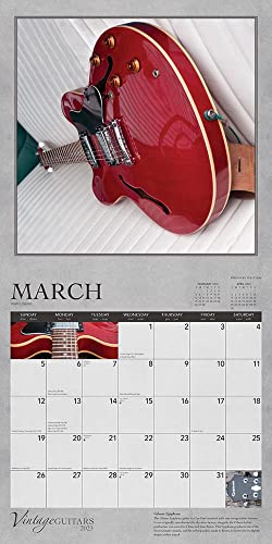 Vintage Guitars | 2023 12 x 24 Inch Monthly Square Wall Calendar | Foil Stamped Cover | BrownTrout | Instrument Classic