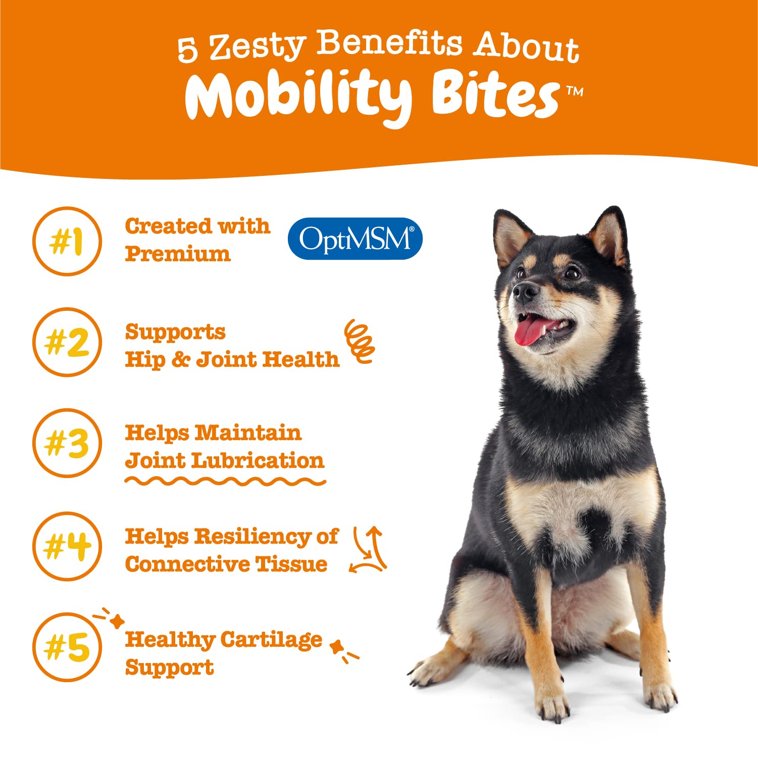 Zesty Paws Hip and Joint Supplement for Dogs - Glucosamine for Dog Joint Supplement - with Chondroitin, MSM, Vitamins C and E for Dog Joint Relief - Mobility Bites Duck β 90 Count