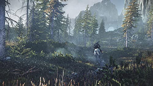 The Witcher 3: Wild Hunt - PlayStation 4 [video game]